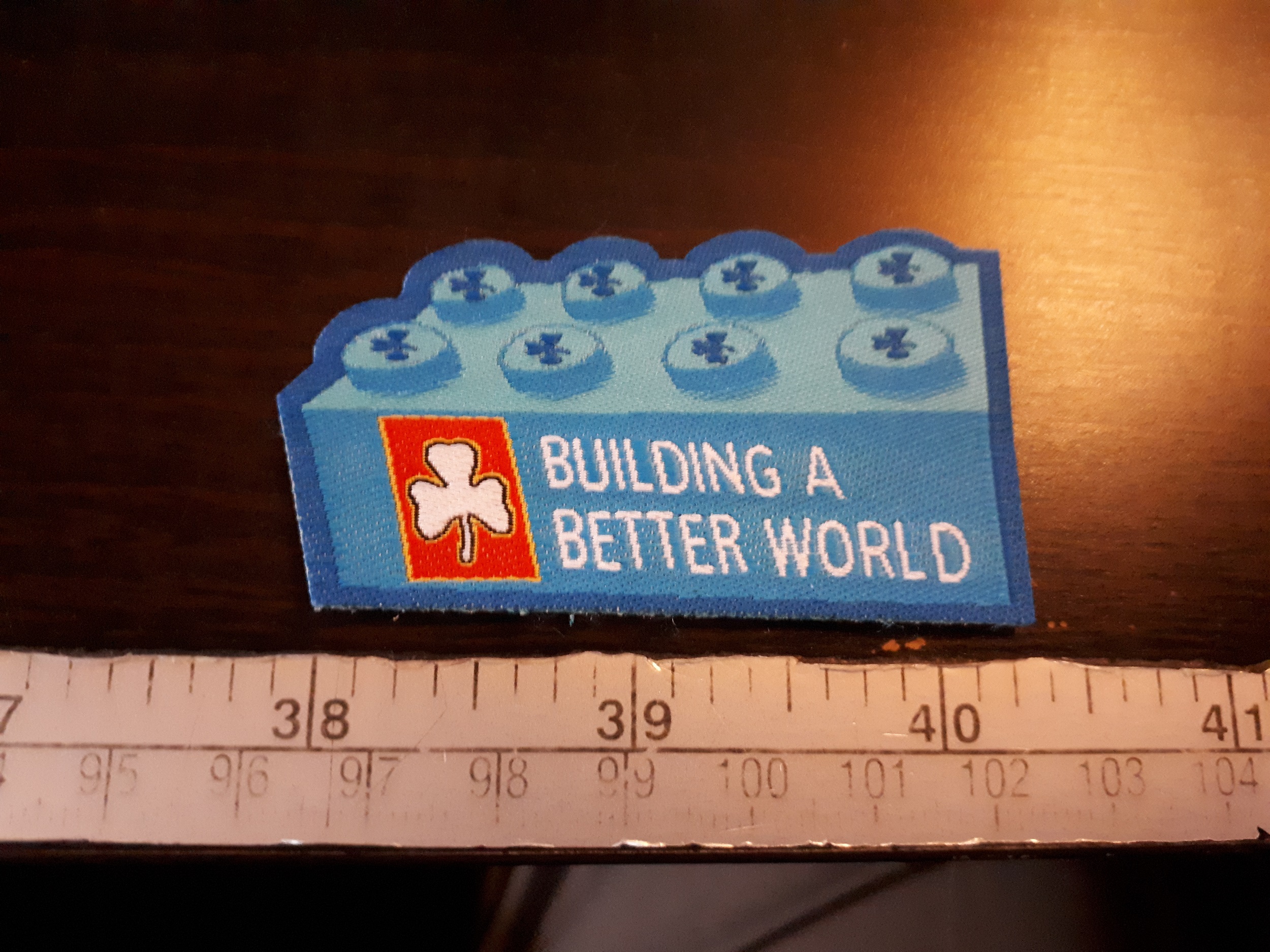 Building a Better World Girl Guide - Baloo's Badge Bin