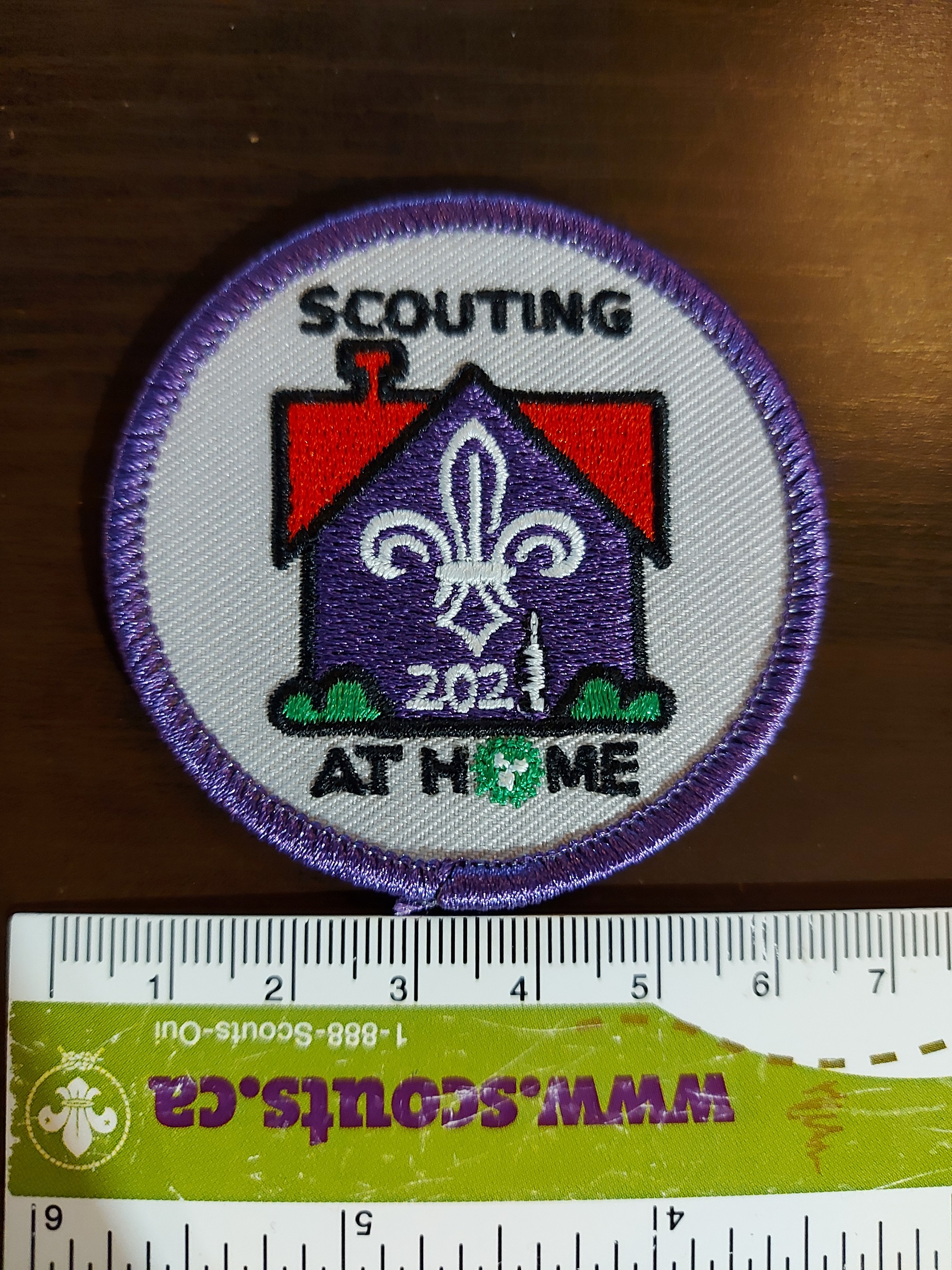 Scouting at Home 2021 - Baloo's Badge Bin