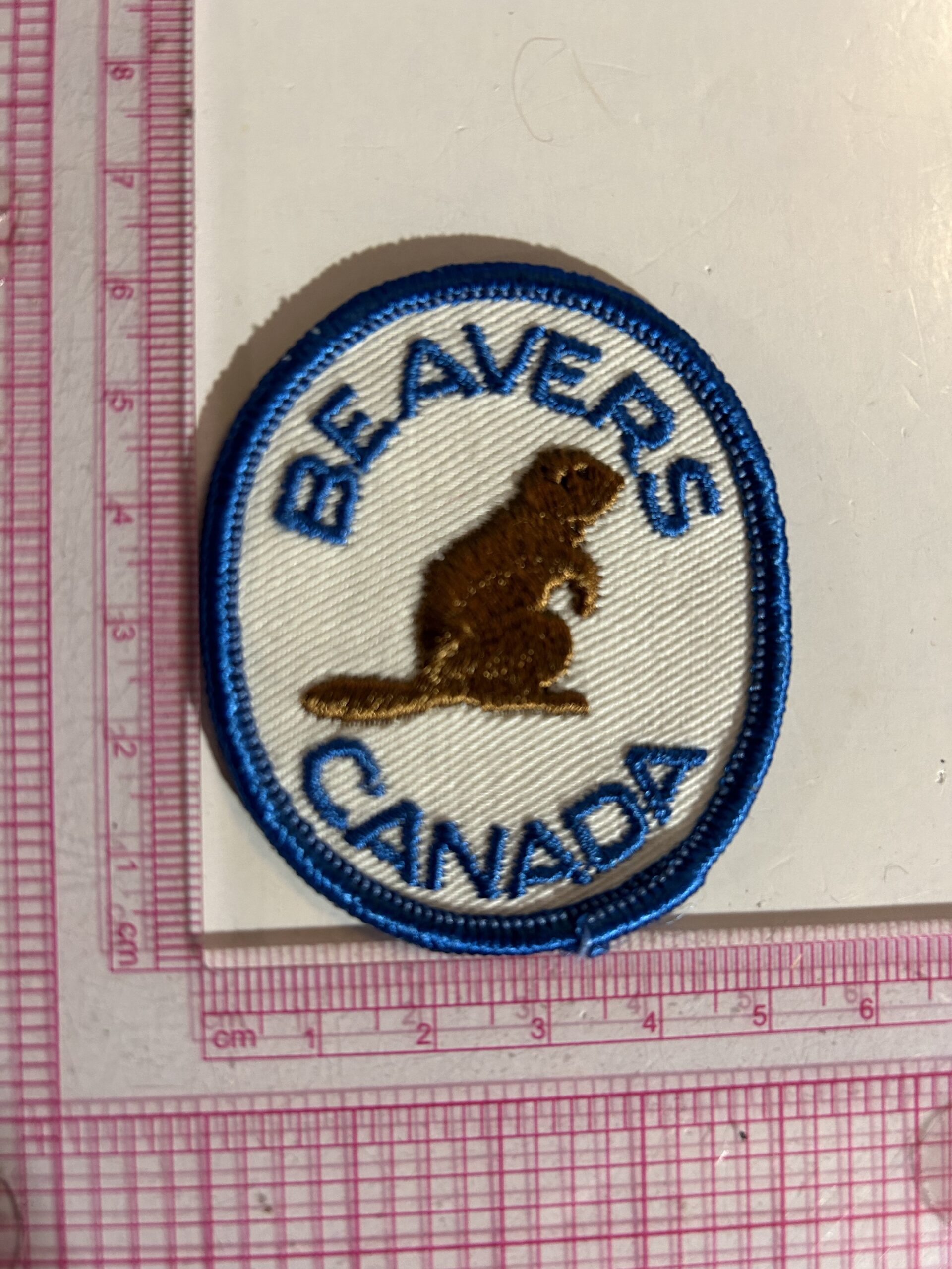 Vintage Beavers Canada Hat Badge - Baloo's Badge Bin