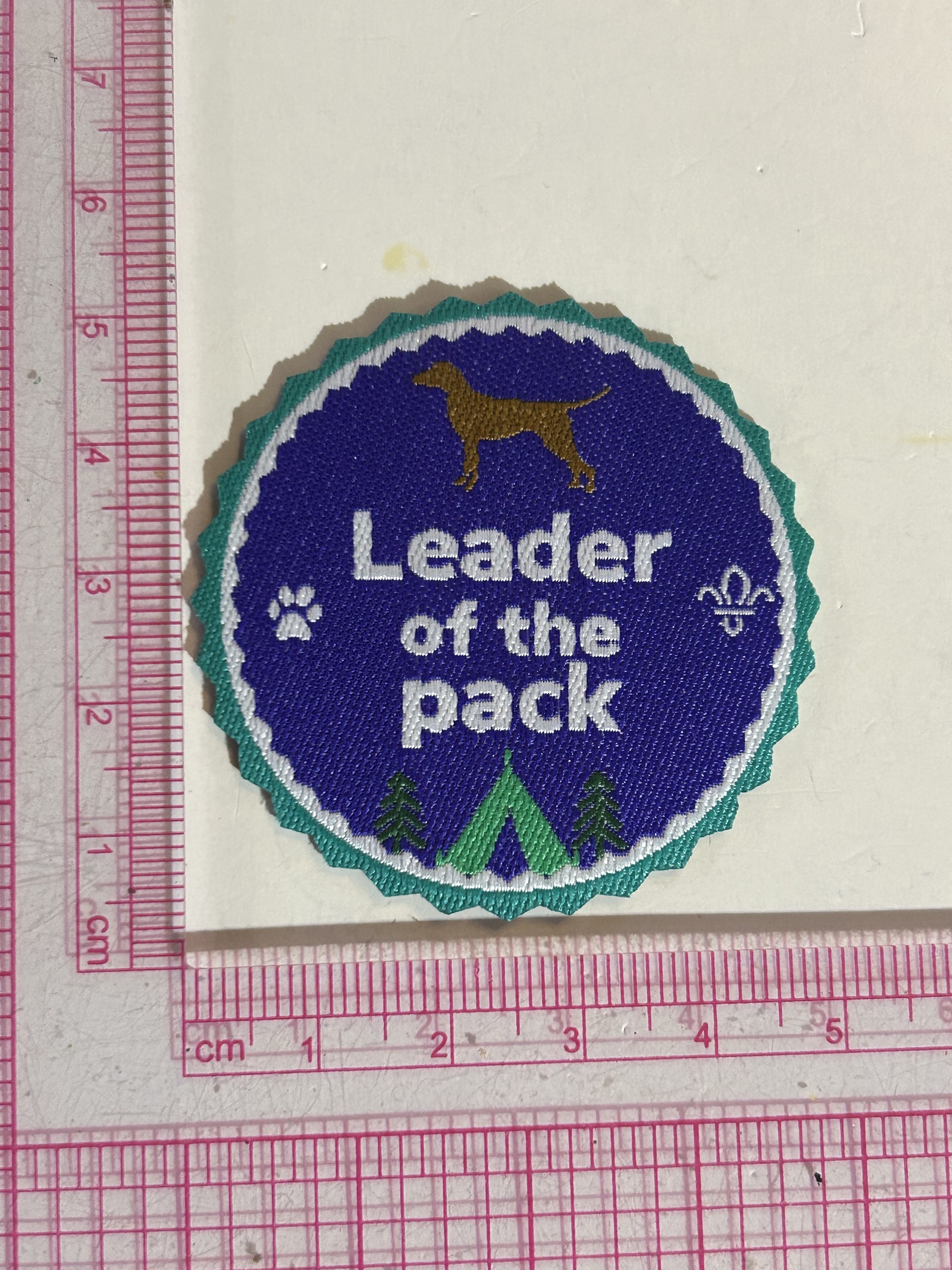 Leader of the Pack - Baloo's Badge Bin