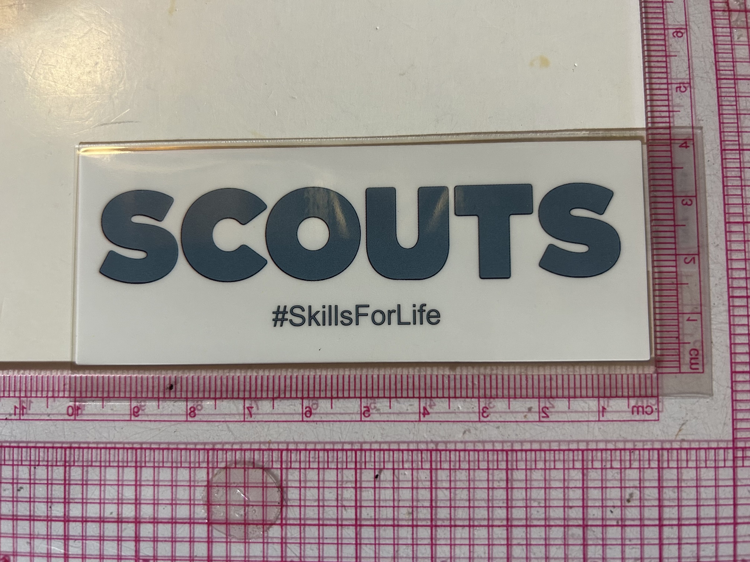 Scouts Window Sticker - Baloo's Badge Bin