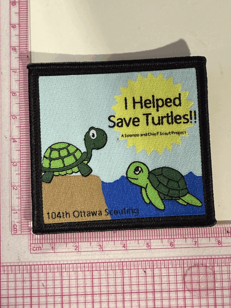 Save the Turtles - Baloo's Badge Bin